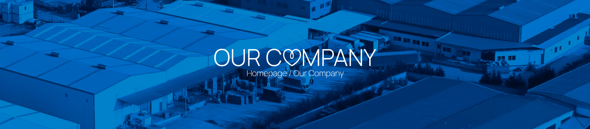 Our Company - Regina Paper